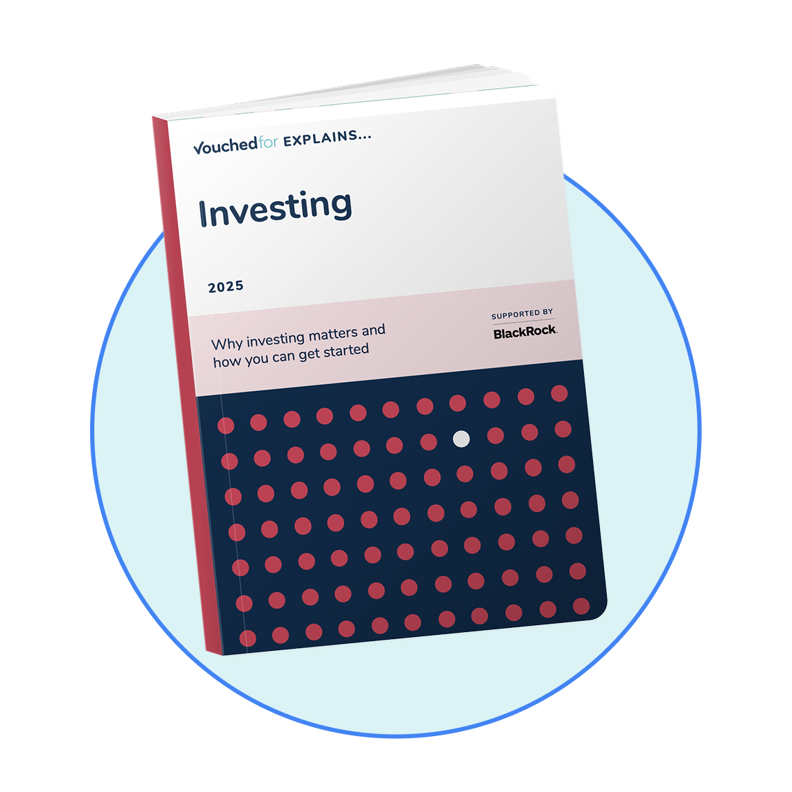 VouchedFor Explainer Series